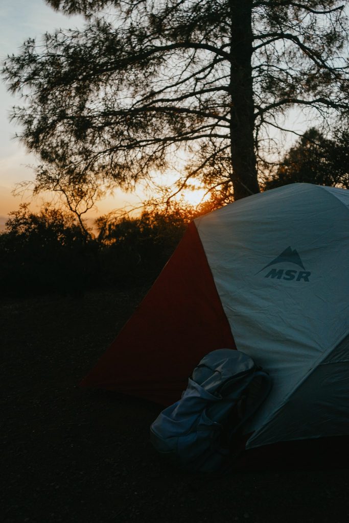 Mount Diablo Camping: Everything You Need to Know [Read Before You Go!]